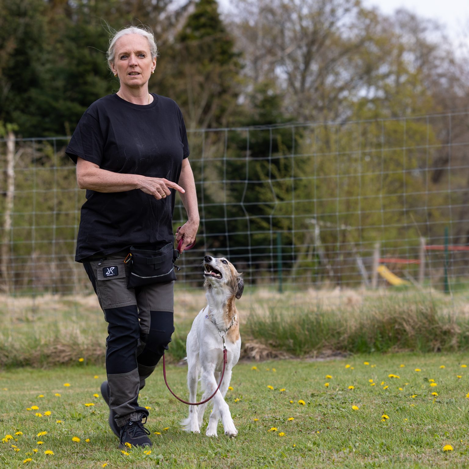 Trainiert mit Windhund - Windsprite vom schwarzen Schwan